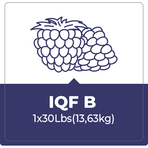 Mora IQF B - 30 Lbr - ALIMENTOS HIMALAYA